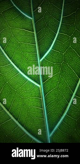 Bio technologies for growing plants and scientific research in the ...