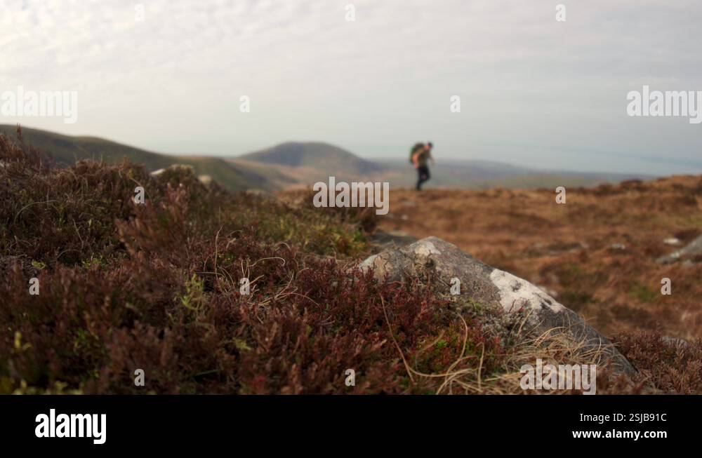 Endofahike Stock Videos & Footage - HD and 4K Video Clips - Alamy