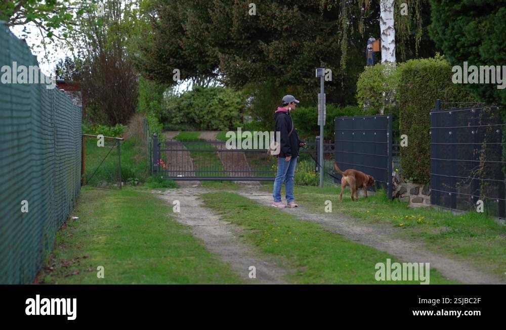 dog walker with dog sniffing around Stock Video Footage - Alamy
