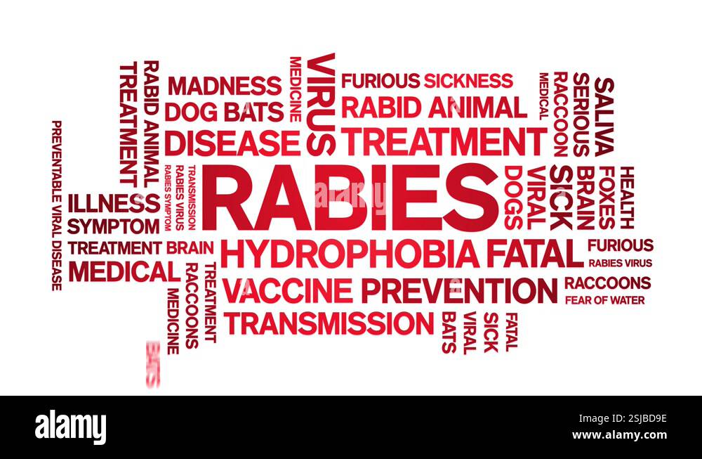 Rabies animated word cloud,animation disease kinetic typography ...