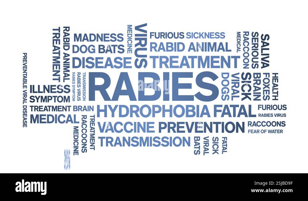 Rabies animated word cloud,animation disease kinetic typography ...