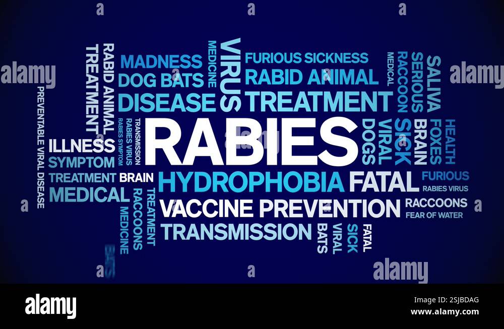 Rabies animated word cloud,animation disease kinetic typography ...