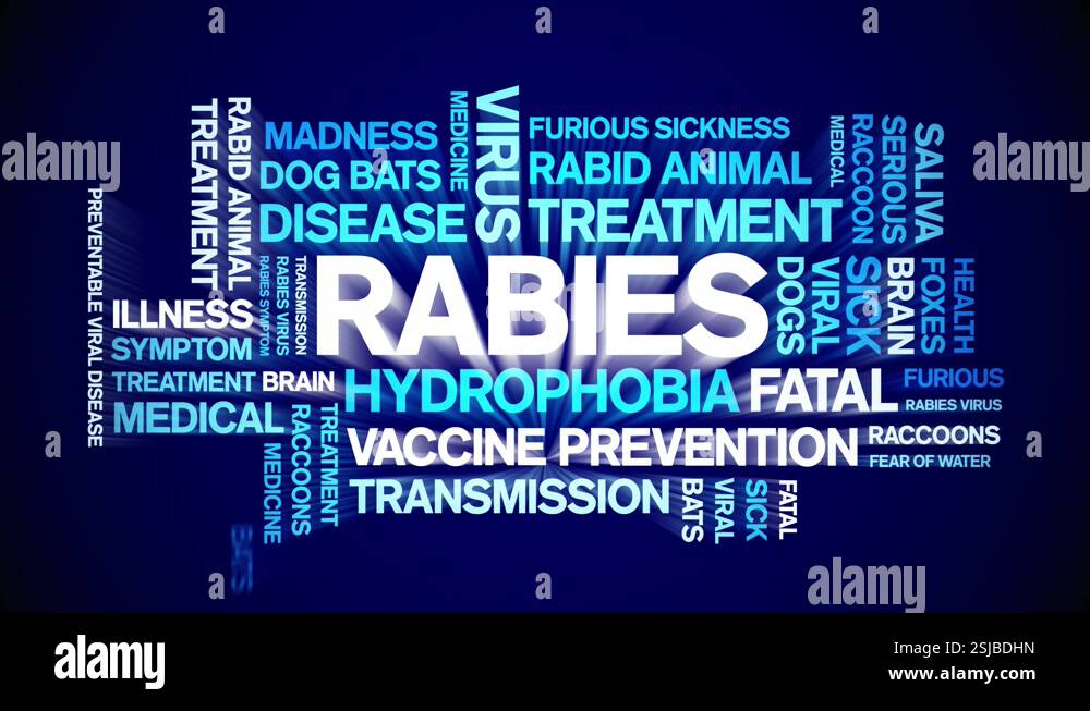 Rabies animated word cloud,animation disease kinetic typography ...