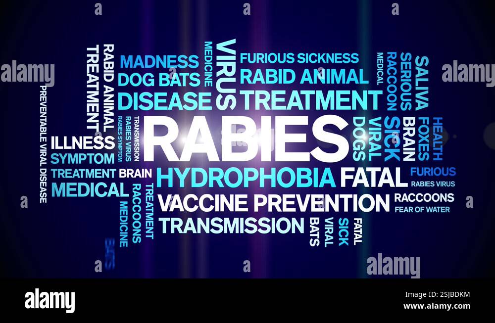 Rabies animated word cloud,animation disease kinetic typography ...