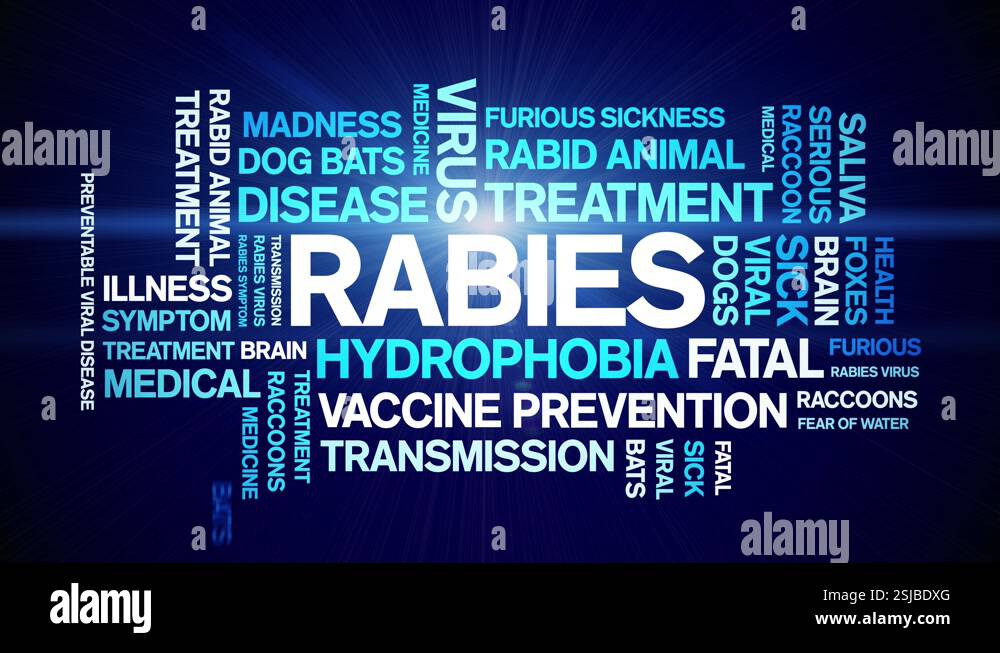 Rabies animated word cloud,animation disease kinetic typography ...