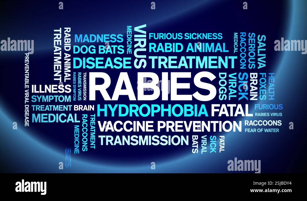 Rabies animated word cloud,animation disease kinetic typography ...