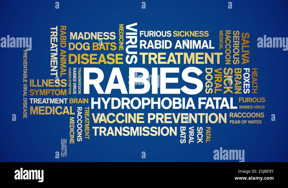 Rabies animated word cloud,animation disease kinetic typography ...
