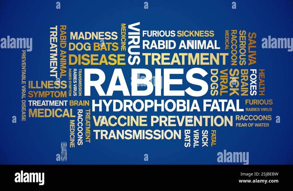 Rabies animated word cloud,animation disease kinetic typography ...
