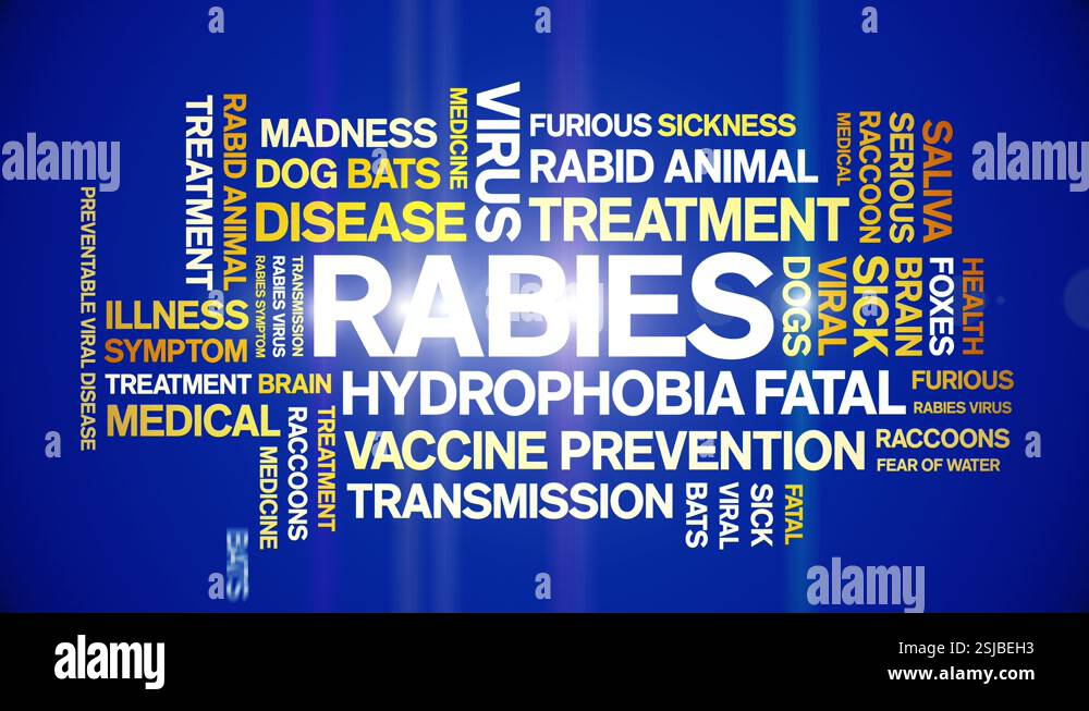 Rabies animated word cloud,animation disease kinetic typography ...