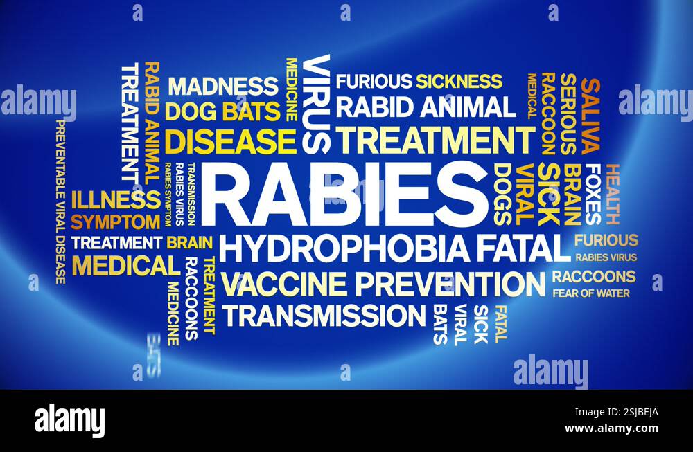Rabies animated word cloud,animation disease kinetic typography ...