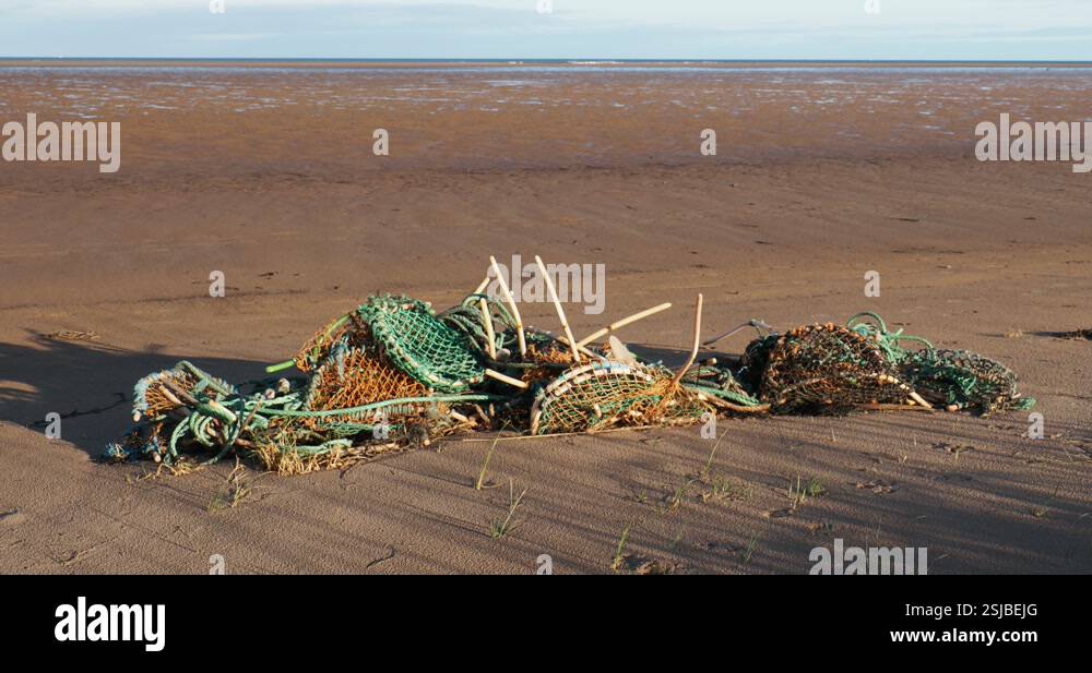 Lobster pots ripped off the seabed by Storm Arwen washed ashore on the ...