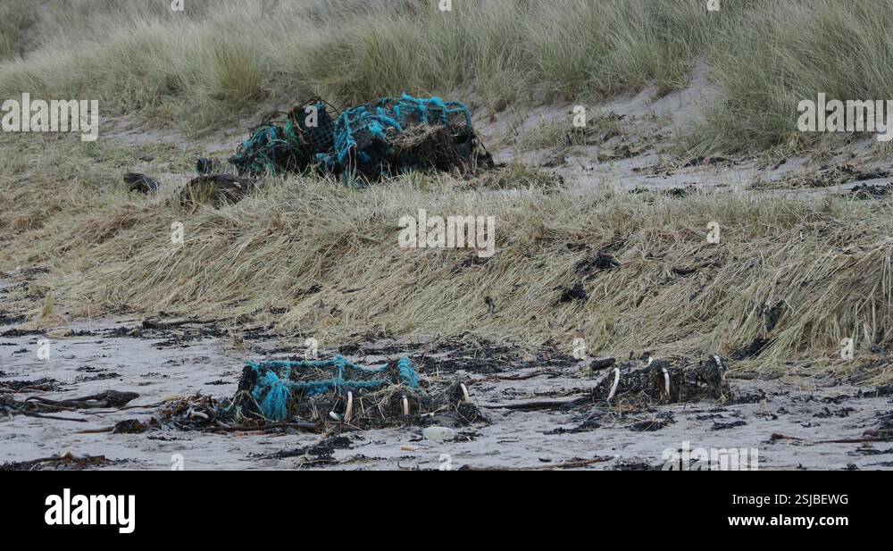 Lobster pots ripped off the seabed by Storm Arwen washed ashore on the ...