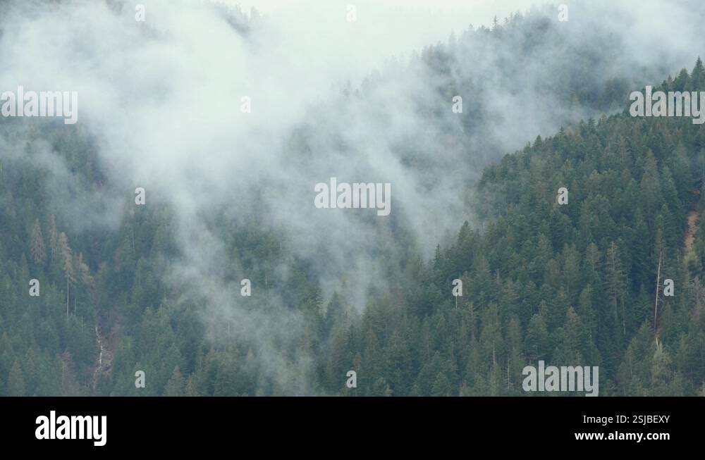 fog and clouds over a splendid coniferous forest in the Dolomites Stock ...