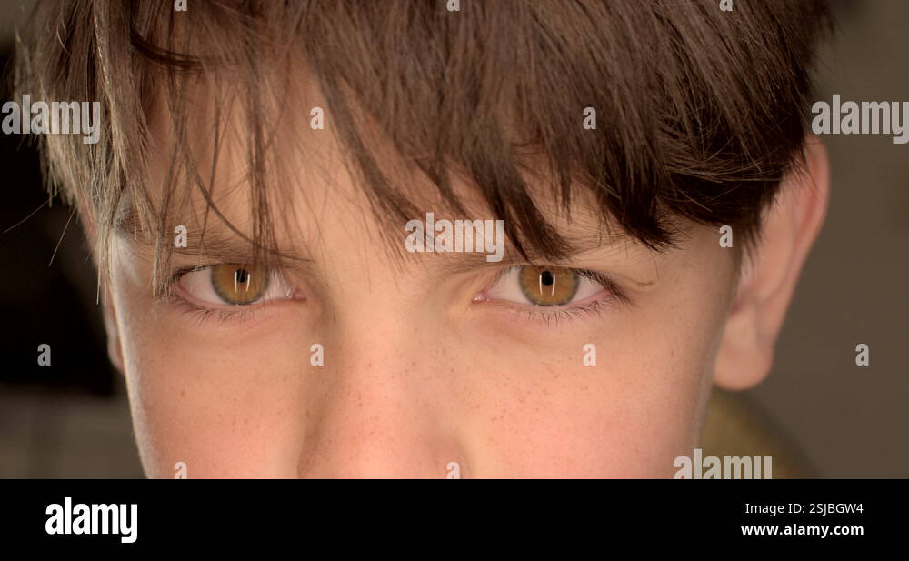 Attentive look child boy He keeps eyes spot confidence high self-esteem ...