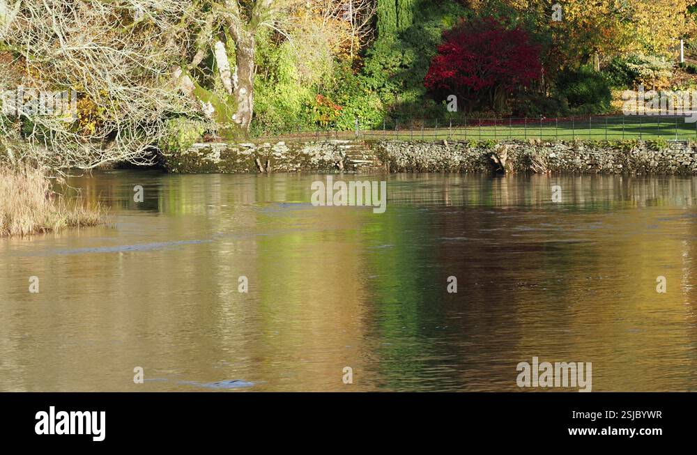 Autumn colours of Woodland reflected in the River Brathay, Ambleside ...