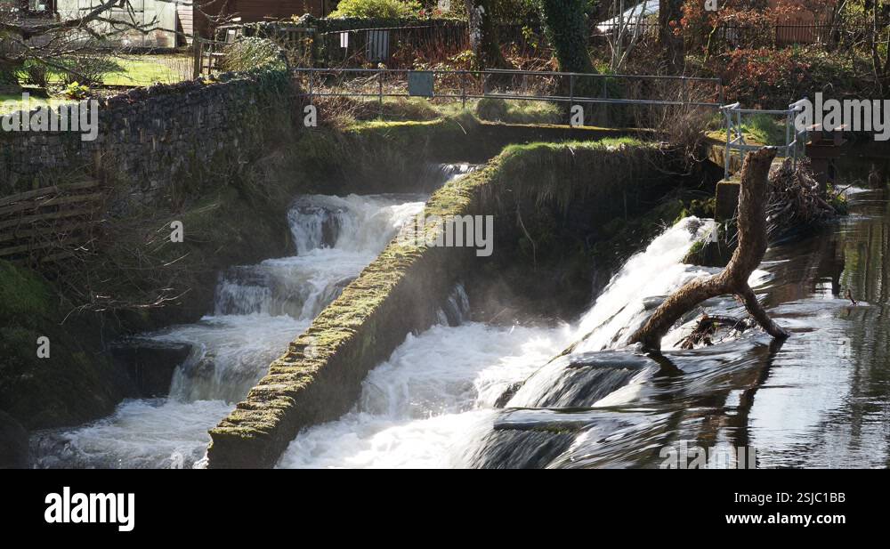 A weir and fish ladder on the River Kent at Bowston nr Kendal, Cumbria ...