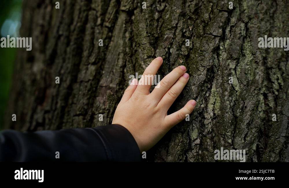 Kid fingers touch tree bark . Saving planet, green generation z ...