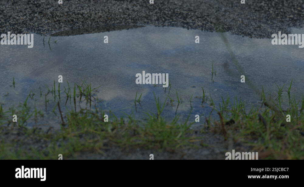 Reflection of clouds in water on Lake Rotoma, Rotorua, New Zealand ...