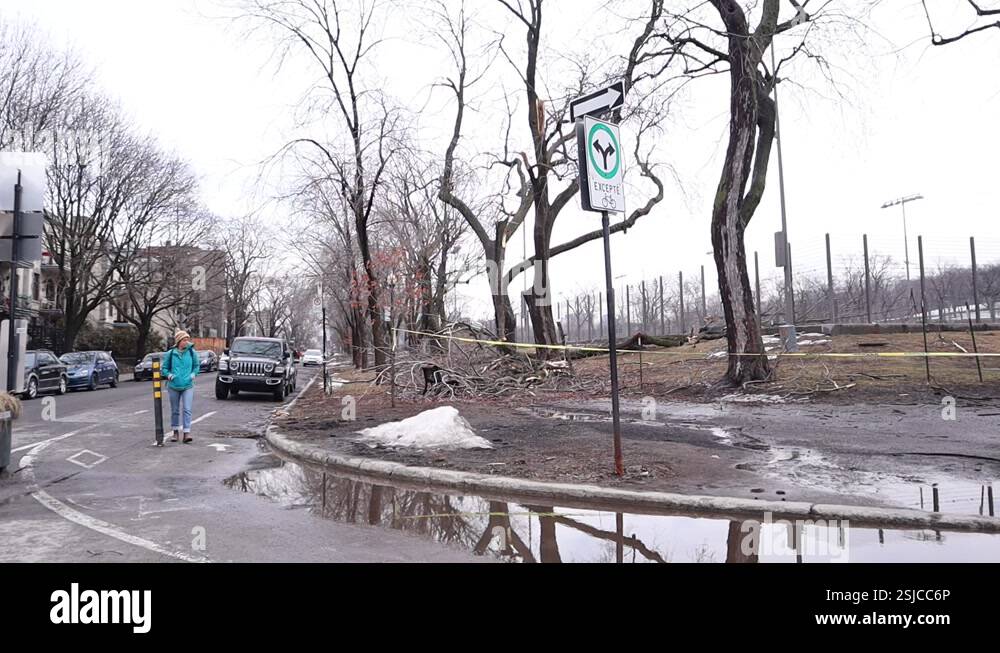 Pedestrian walking down road past water puddle in winter. Static ...