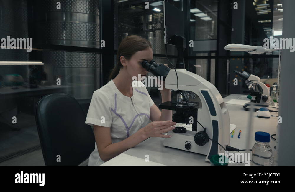 Examining the particles under the microscope equipment for laboratory ...