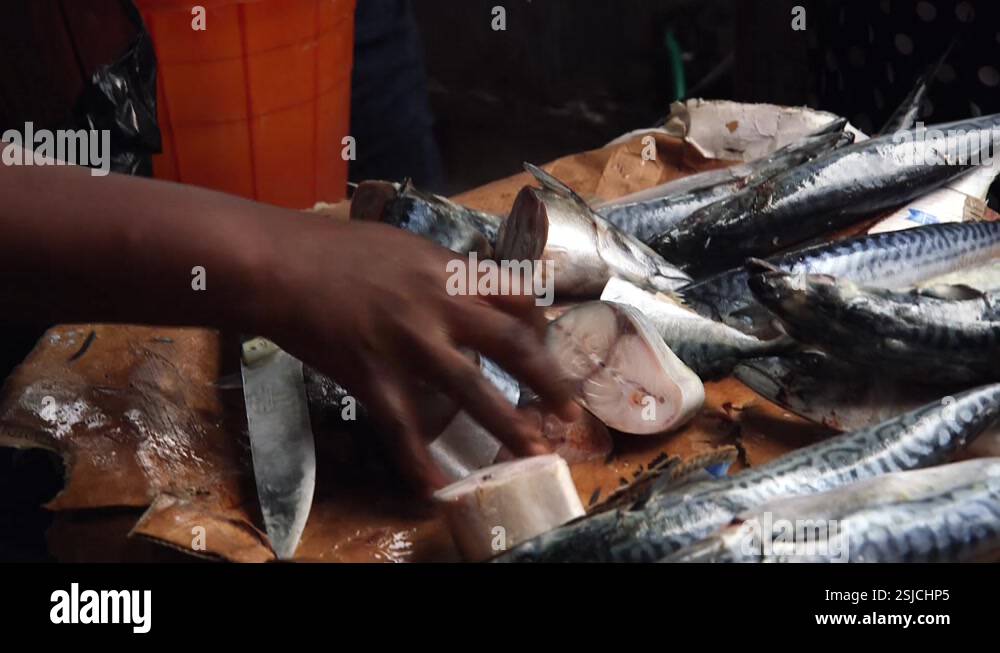 Lagos fish market Stock Videos & Footage - HD and 4K Video Clips - Alamy