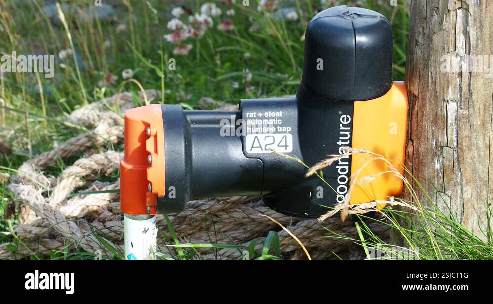 A Humane rat and stoat trap to protect vulnerable ground nesting birds ...