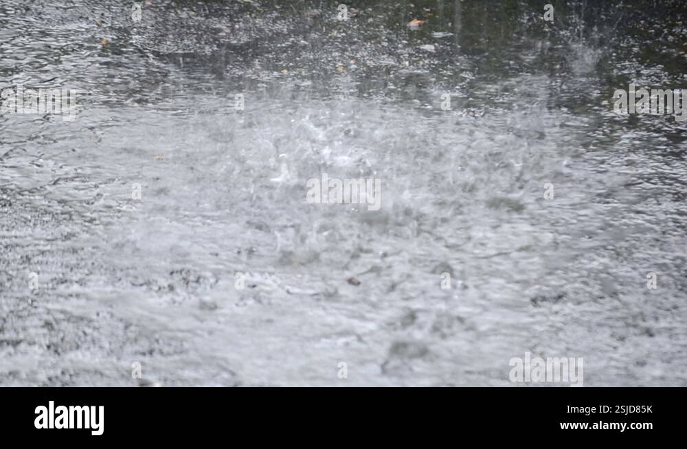 Rain. Rain dripping. drops of heavy rain dripping on the asphalt ...