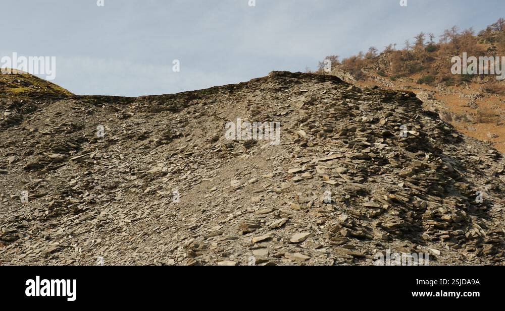 An old slate slag heap in Tilberthwaite near Coniston, Lake District ...