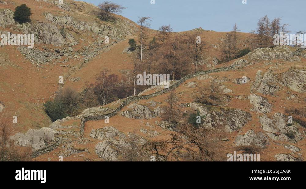 A drystone wall running up the fell in Tilberthwaite near Coniston ...