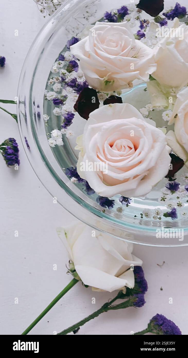 Still life fine art Stock Videos & Footage - HD and 4K Video Clips - Alamy