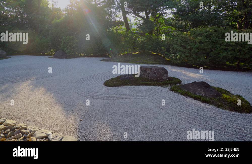 Try design Stock Videos & Footage - HD and 4K Video Clips - Alamy