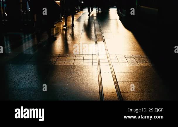 Silhouette of crowd people walking against sunset light. Shadows of ...