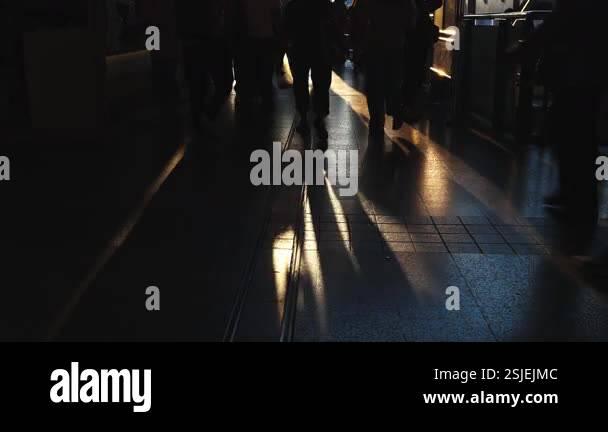 Silhouette of crowd people walking against sunset light. Shadows of ...