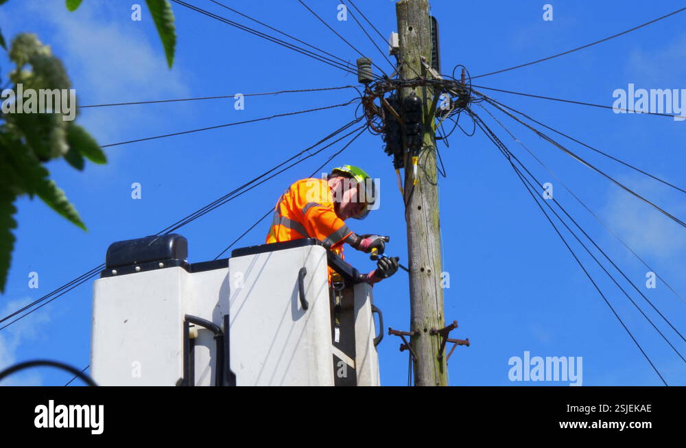 Telecom engineer working at height on wood telegraph pole with overhead ...
