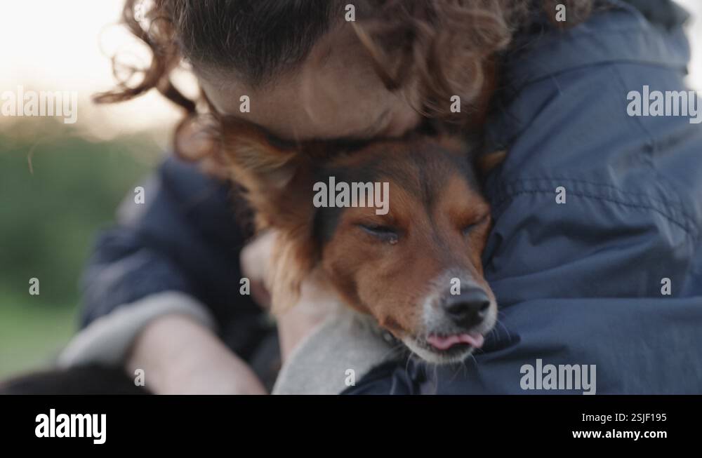 Young cute female hugs Stock Videos & Footage - HD and 4K Video Clips ...