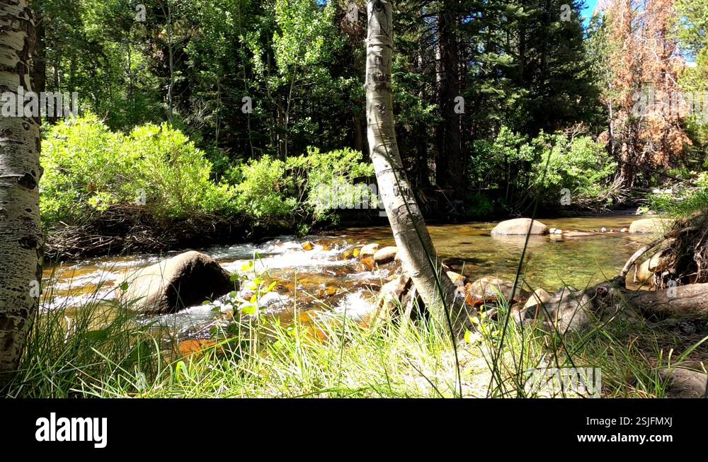 Lee california Stock Videos & Footage - HD and 4K Video Clips - Alamy