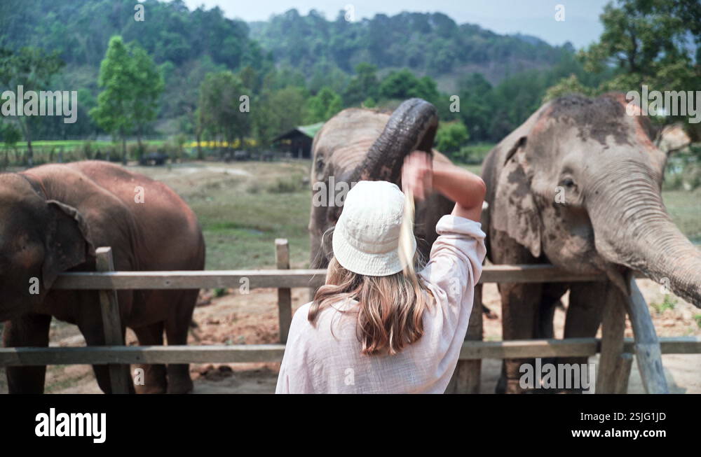 Grab stick Stock Videos & Footage - HD and 4K Video Clips - Alamy