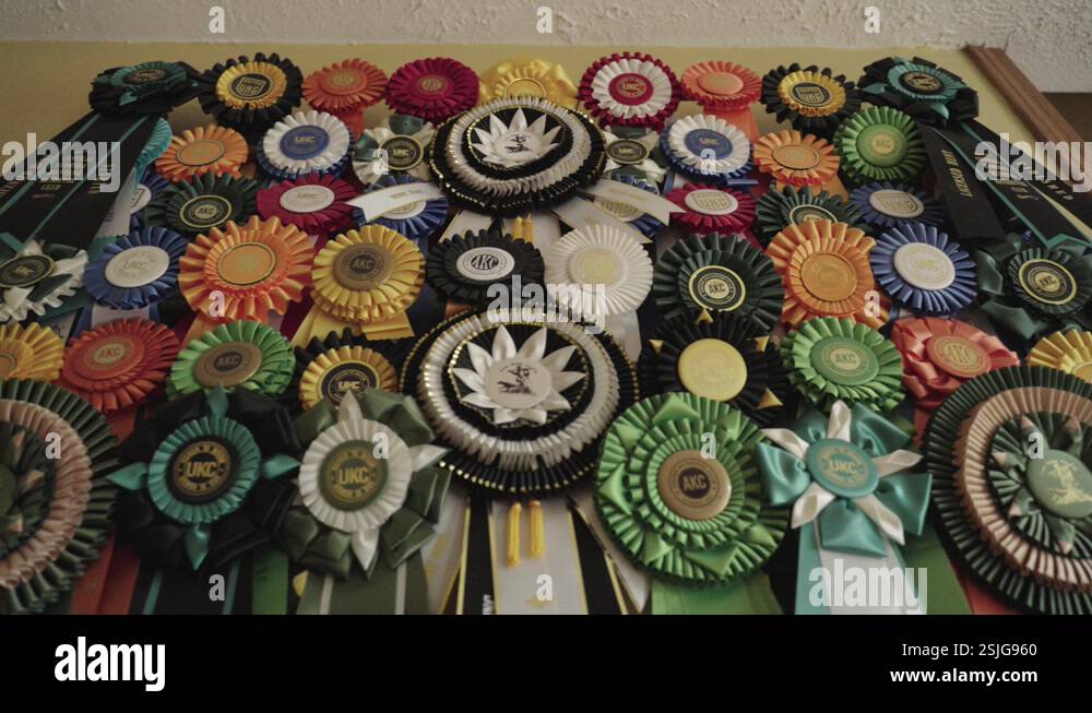 Rosette award guarantee premium Stock Videos & Footage - HD and 4K ...