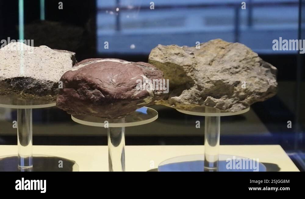 Mineral fossils Stock Videos & Footage - HD and 4K Video Clips - Alamy