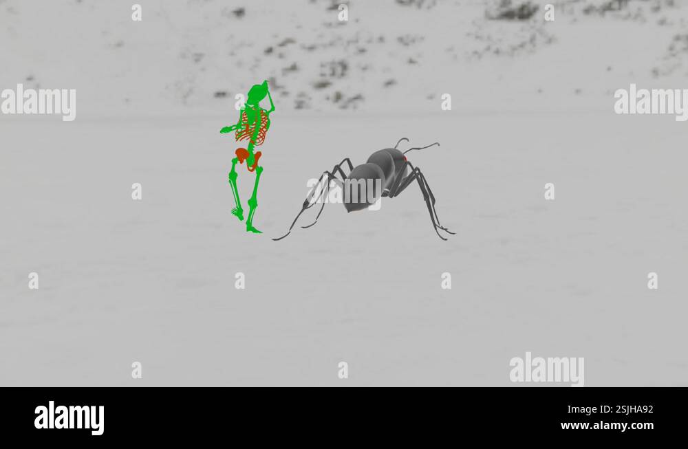Ant age Stock Videos & Footage - HD and 4K Video Clips - Alamy