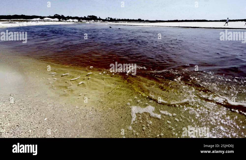 Outfall from Lake Powell Florida into the gulf of mexico, dune lake ...