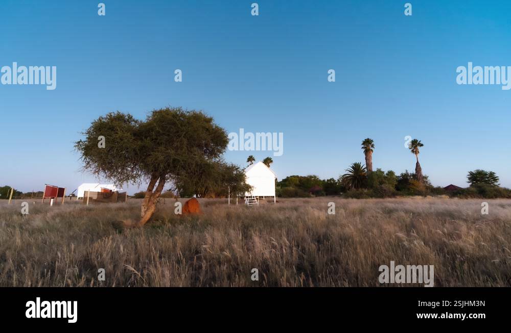 Captivating footage of the Milky Way galaxy shot in Namibia's starry ...