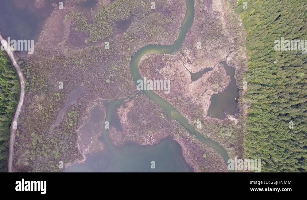 Wetland border Stock Videos & Footage - HD and 4K Video Clips - Alamy