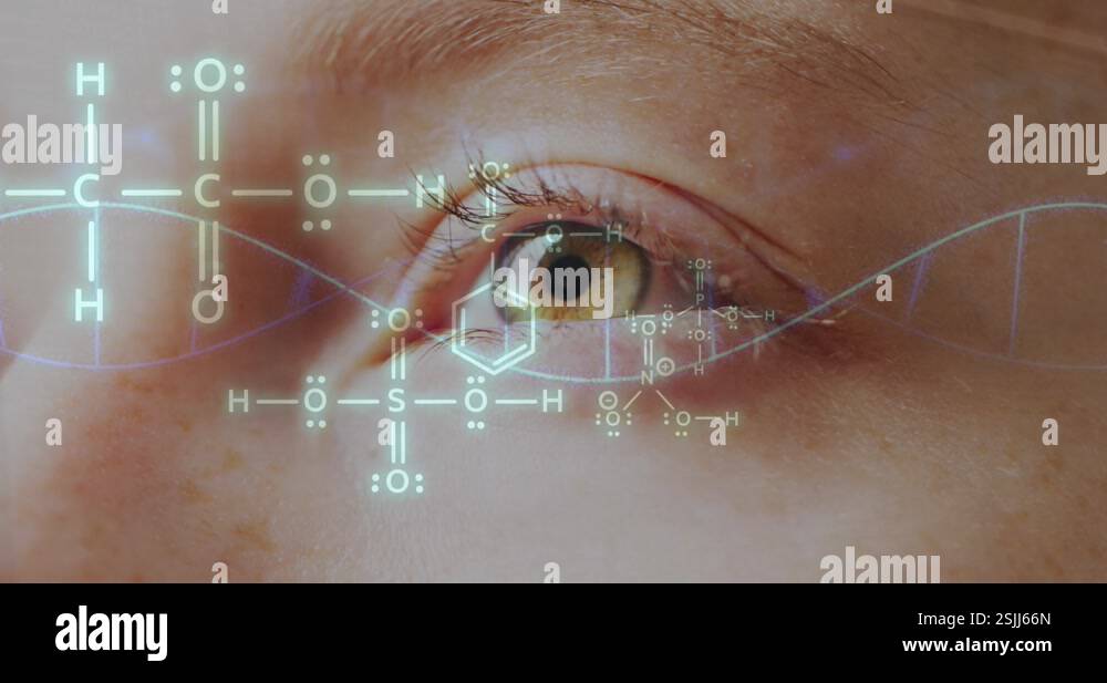 Structures of the eye Stock Videos & Footage - HD and 4K Video Clips ...