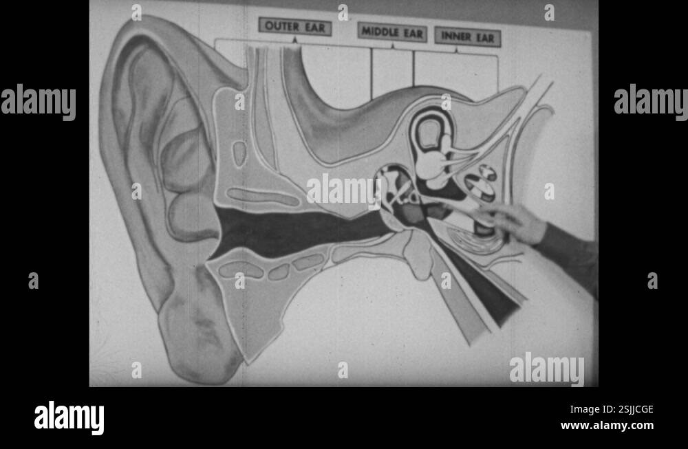1950s:Hand points to diagram of ear. Woman talks to children in ...