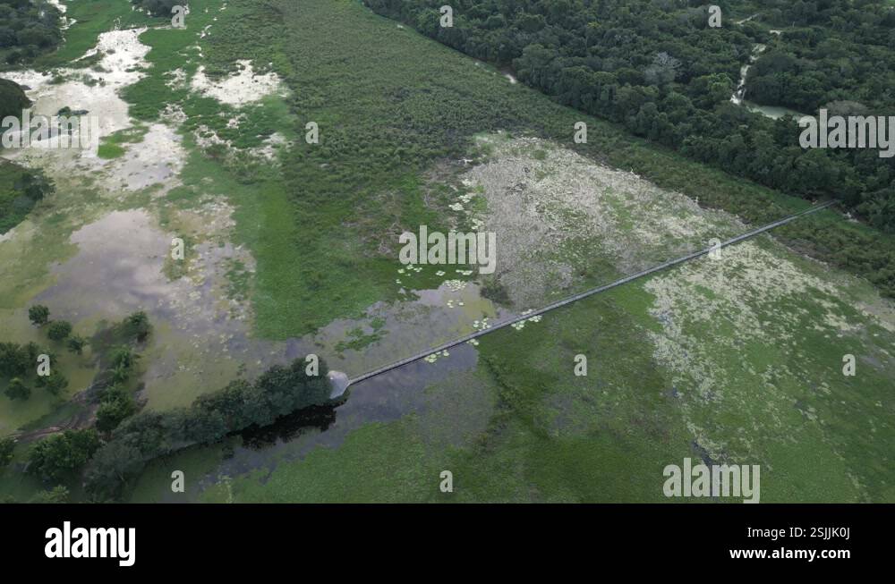 Savanna forest brazil Stock Videos & Footage - HD and 4K Video Clips ...