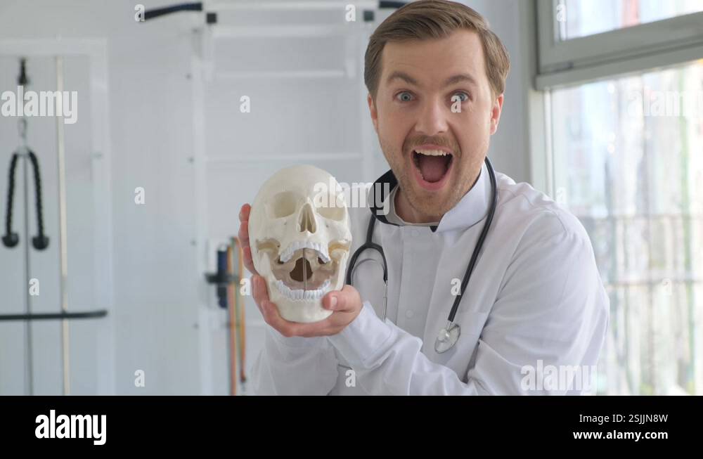 Anatomical skull model Stock Videos & Footage - HD and 4K Video Clips ...