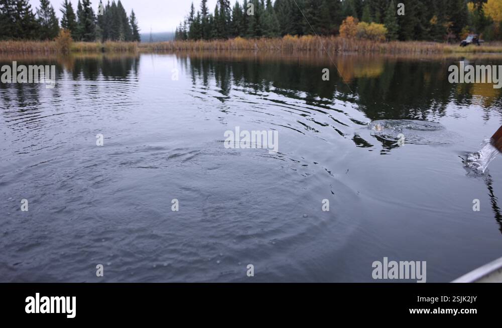 Fisherman reeling in Stock Videos & Footage - HD and 4K Video Clips - Alamy