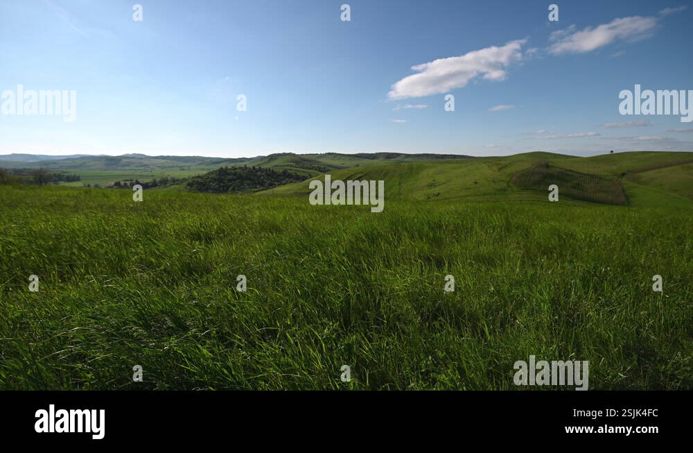 Beautiful spring landscape field Stock Videos & Footage - HD and 4K ...