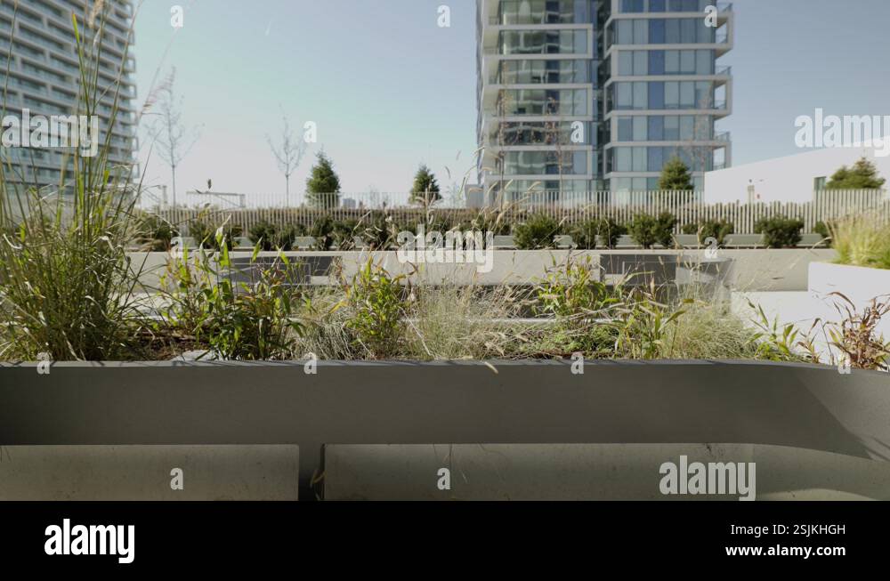 Seating skyline Stock Videos & Footage - HD and 4K Video Clips - Alamy